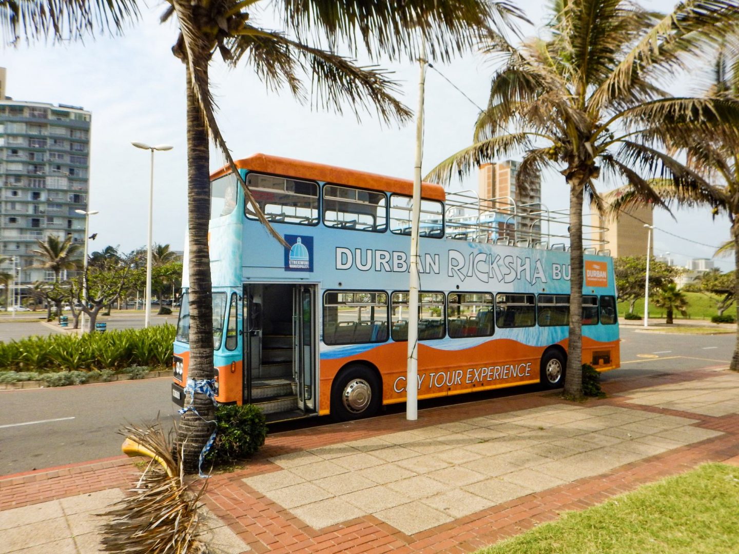 Everything You Need To Know About Durban - Explore Shaw