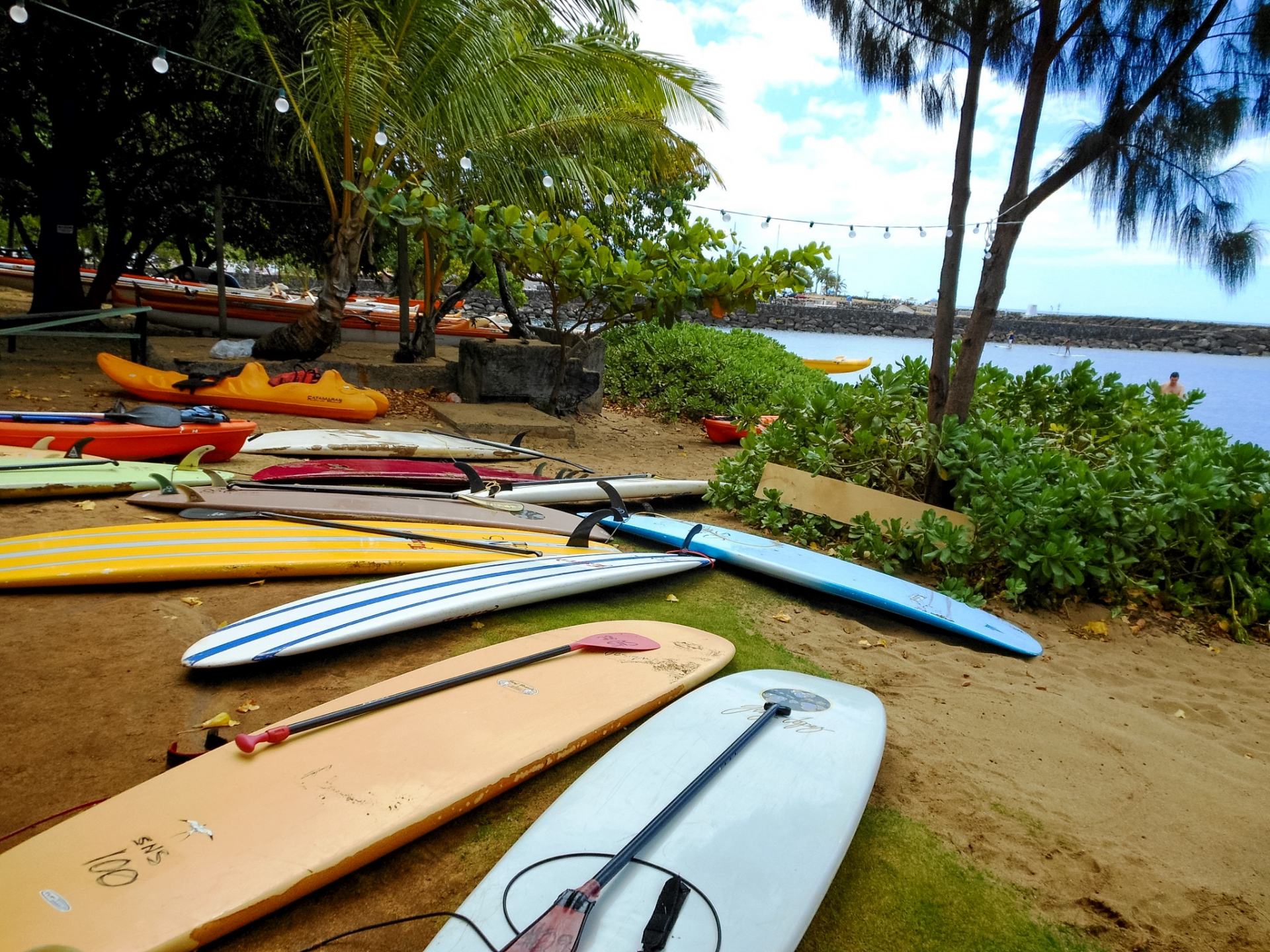 Touring Oahu On The North Shore Surf Bus - Explore Shaw