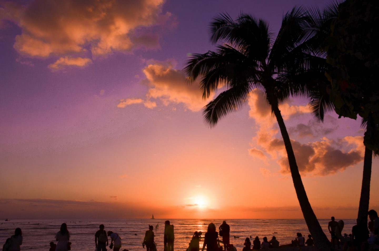 An Essential Guide to Honolulu | Explore Shaw