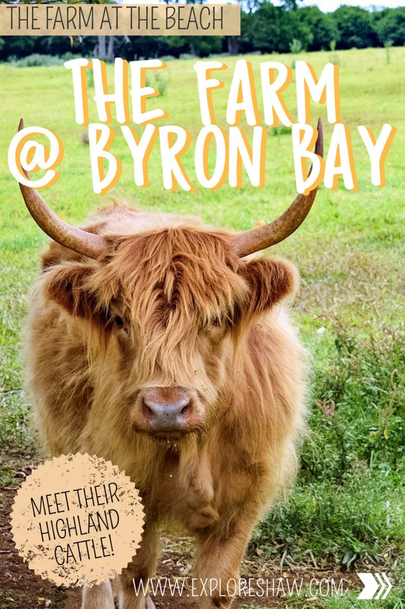 Spending a morning at The Farm Byron Bay - Explore Shaw