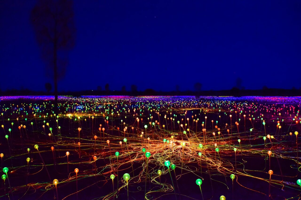 A Magical Night at the Field of Light at Uluru - Explore Shaw