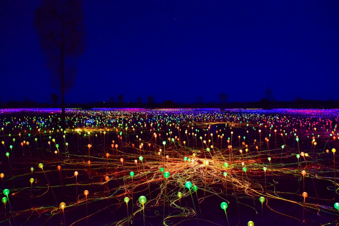 A Magical Night at the Field of Light at Uluru - Explore Shaw