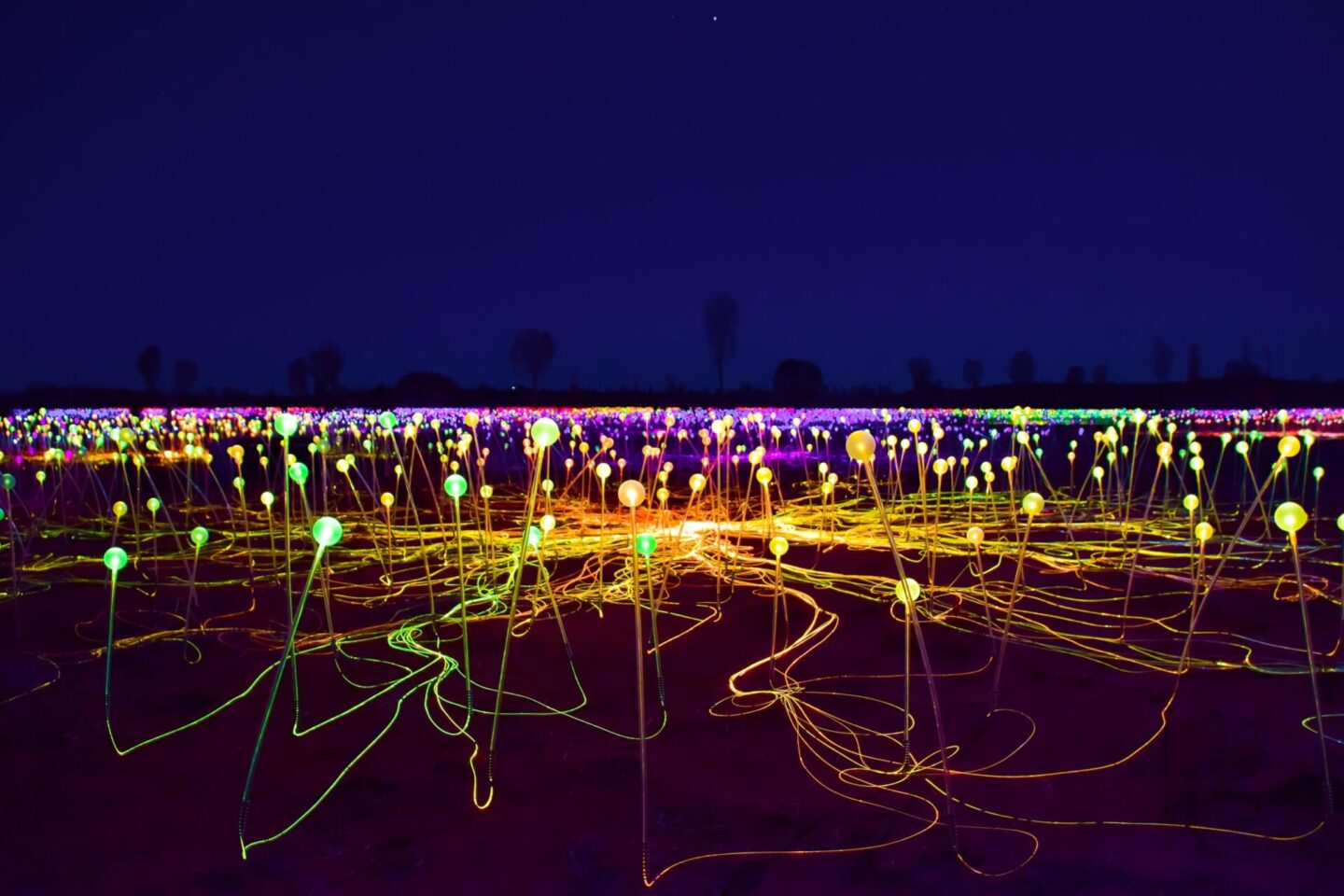 A Magical Night at the Field of Light at Uluru - Explore Shaw