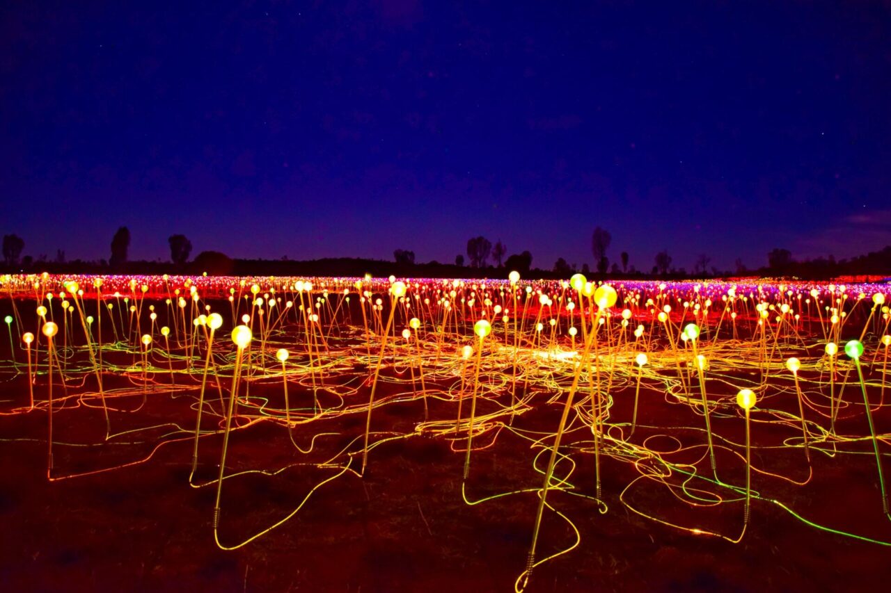 A Magical Night at the Field of Light at Uluru - Explore Shaw