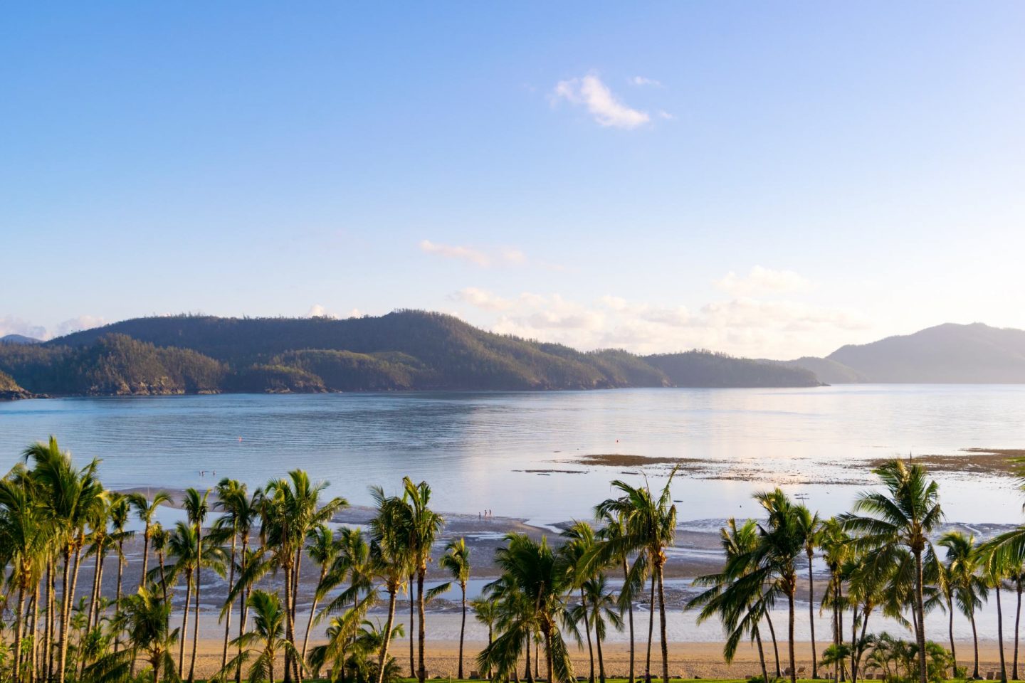 An Essential Travel Guide to Hamilton Island | Explore Shaw