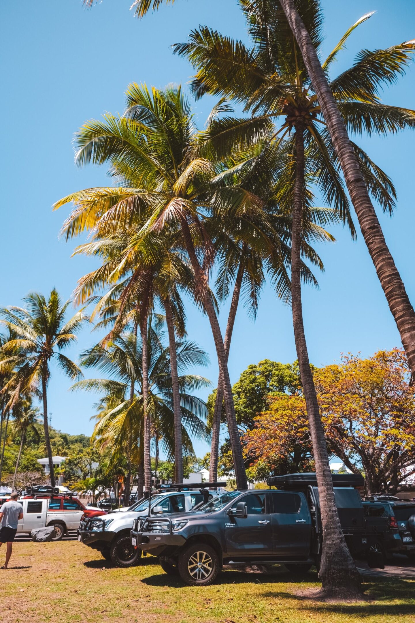 An Essential Guide to Port Douglas | Explore Shaw
