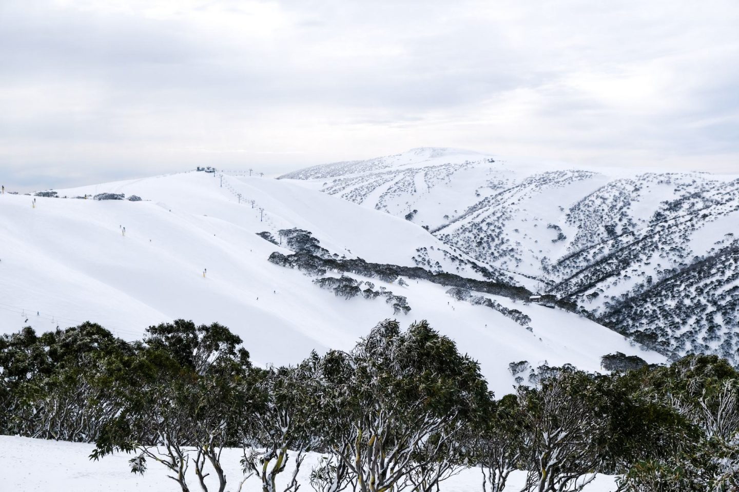 10 Unforgettable Experiences You Can Have at Mount Hotham - Explore Shaw
