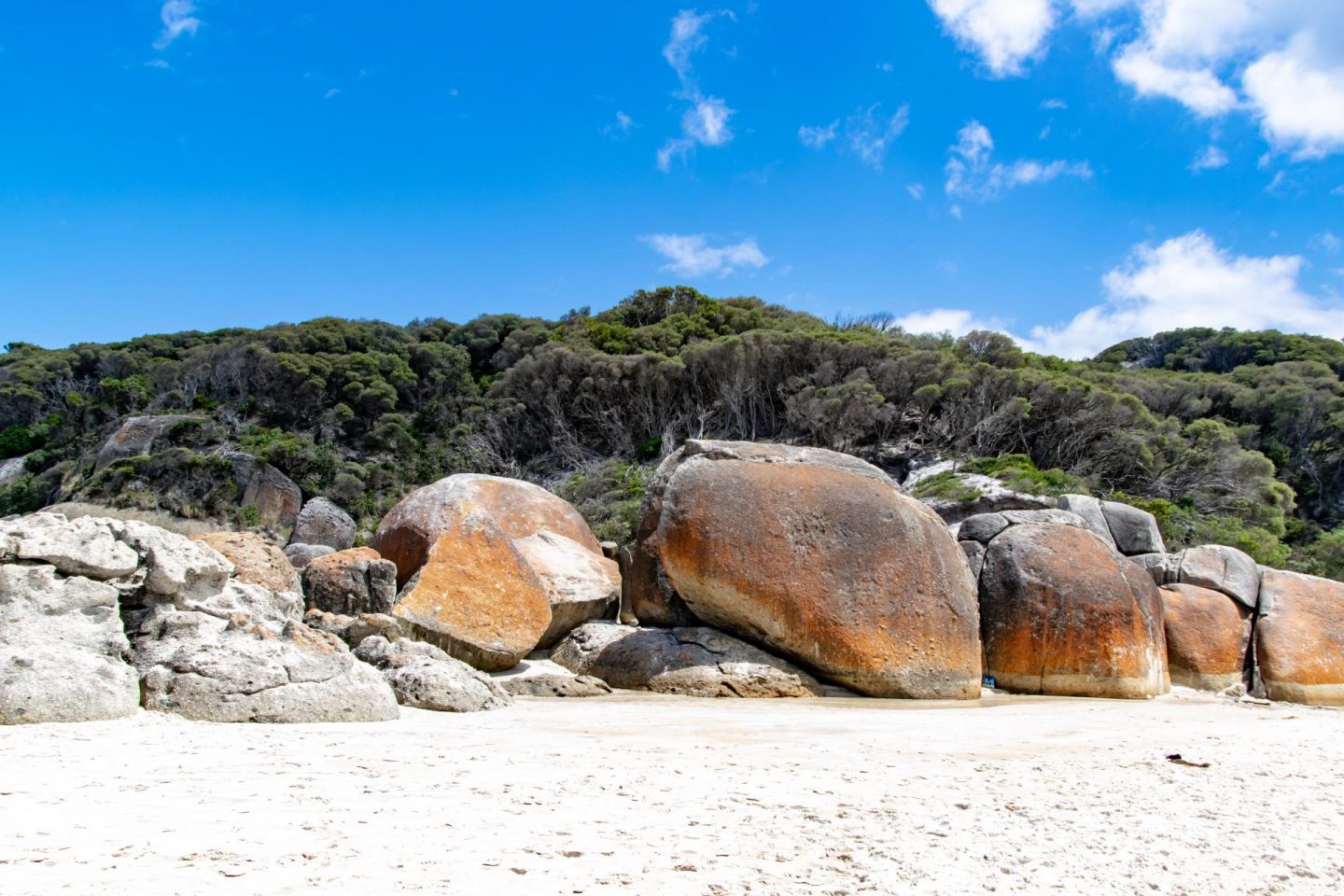 Your Complete Guide to Wilsons Promontory National Park - Explore Shaw