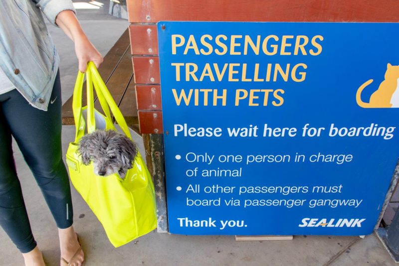 Taking Your Pets To Kangaroo Island | Explore Shaw