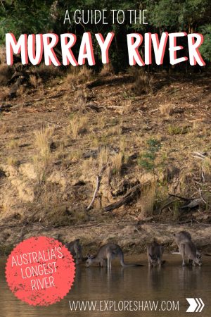 A Complete Guide To The Murray River - Explore Shaw