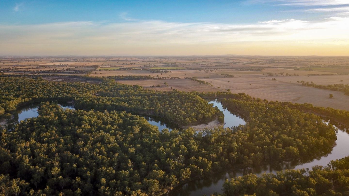 A Complete Guide To The Murray River - Explore Shaw