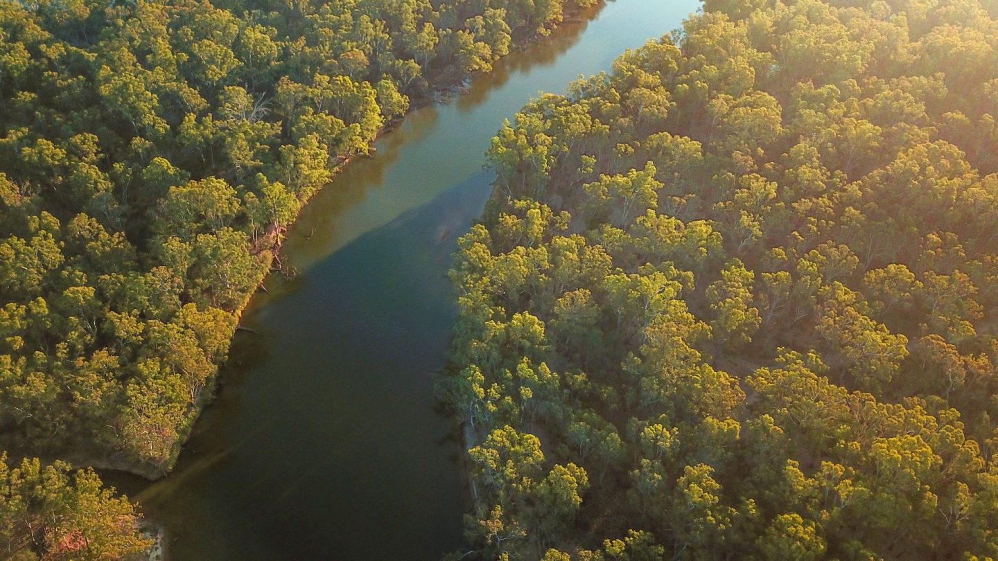 A Complete Guide To The Murray River - Explore Shaw