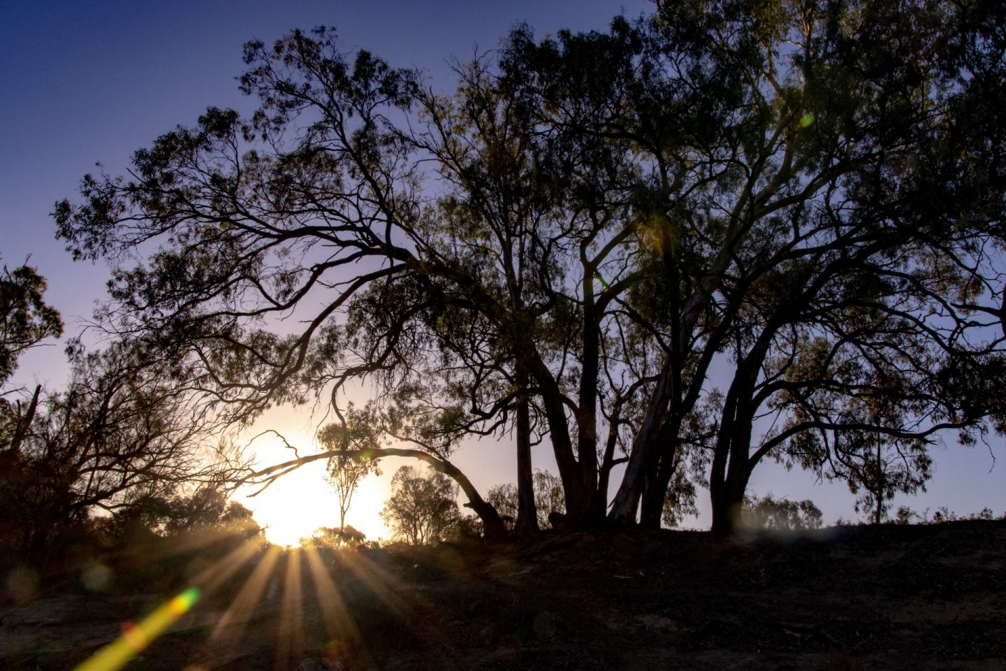 A Complete Guide To The Murray River - Explore Shaw