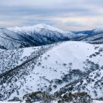 What To Do In Melbourne This Winter - Explore Shaw