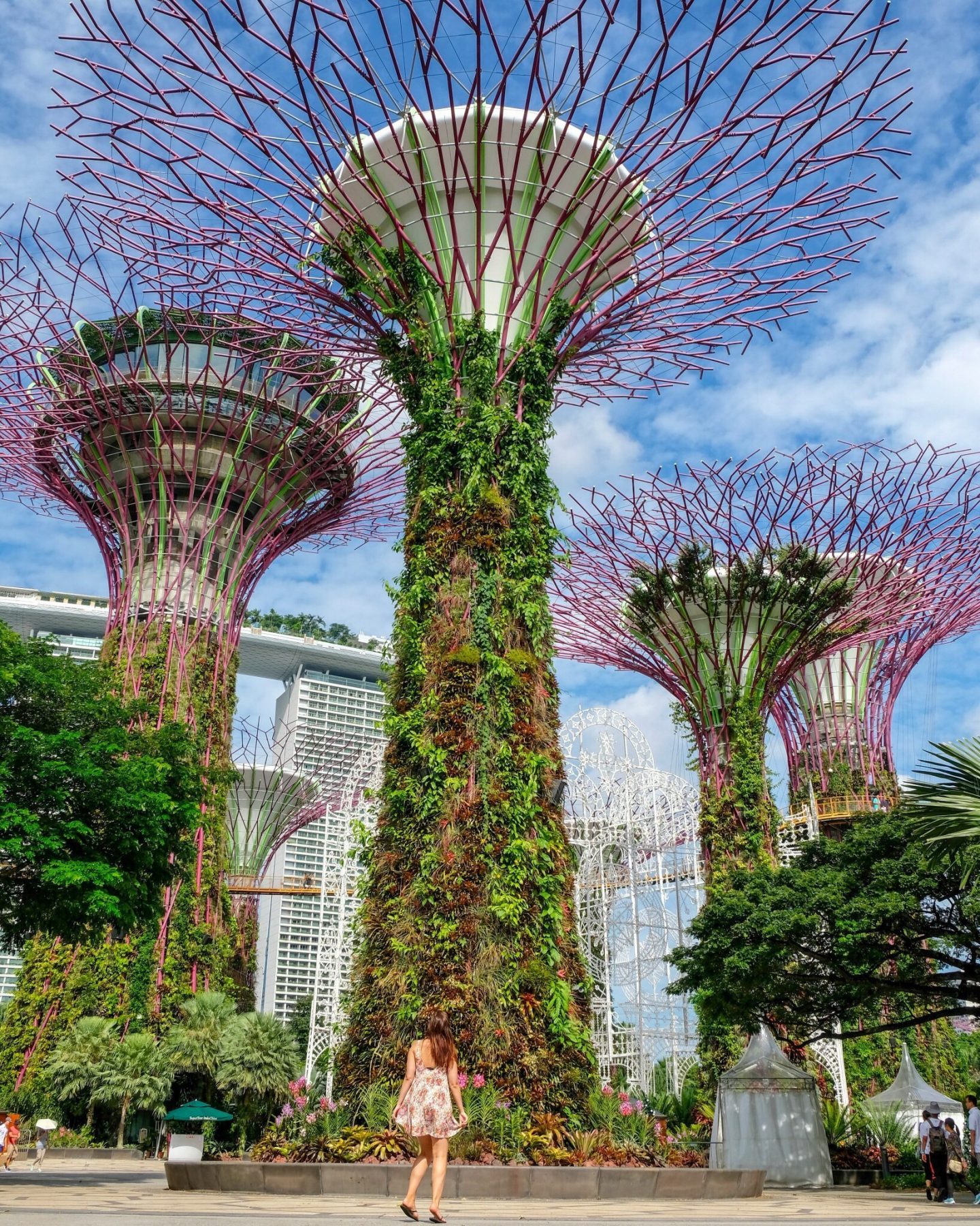 Explore Asia - Explore Shaw