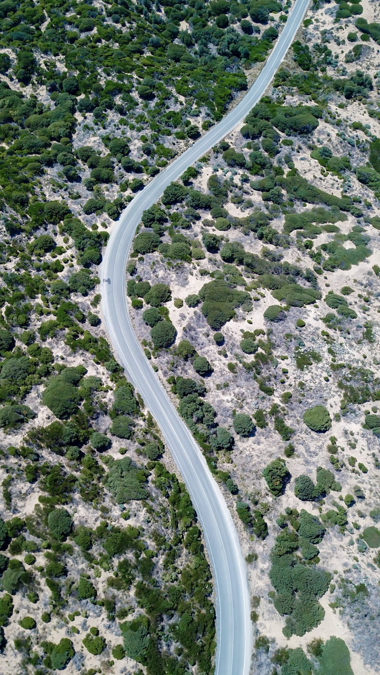 Top 10 Places To Visit in Gippsland - Explore Shaw