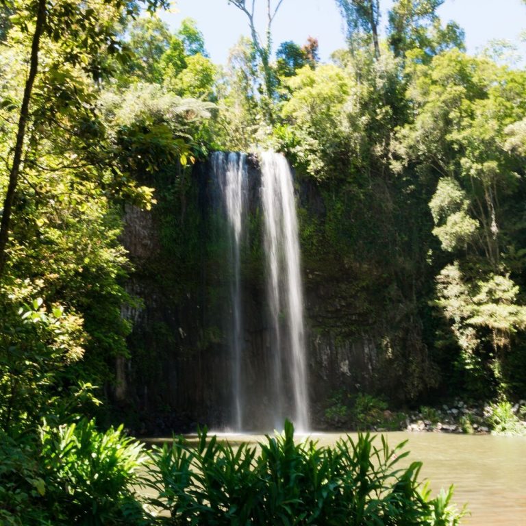 Queensland Travel Guide | Explore Shaw