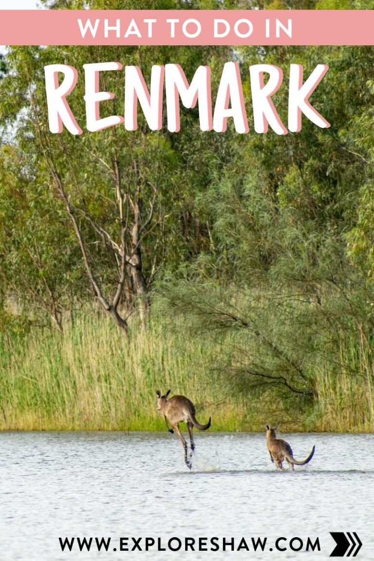 What To Do In Renmark Along The Murray River Way - Explore Shaw