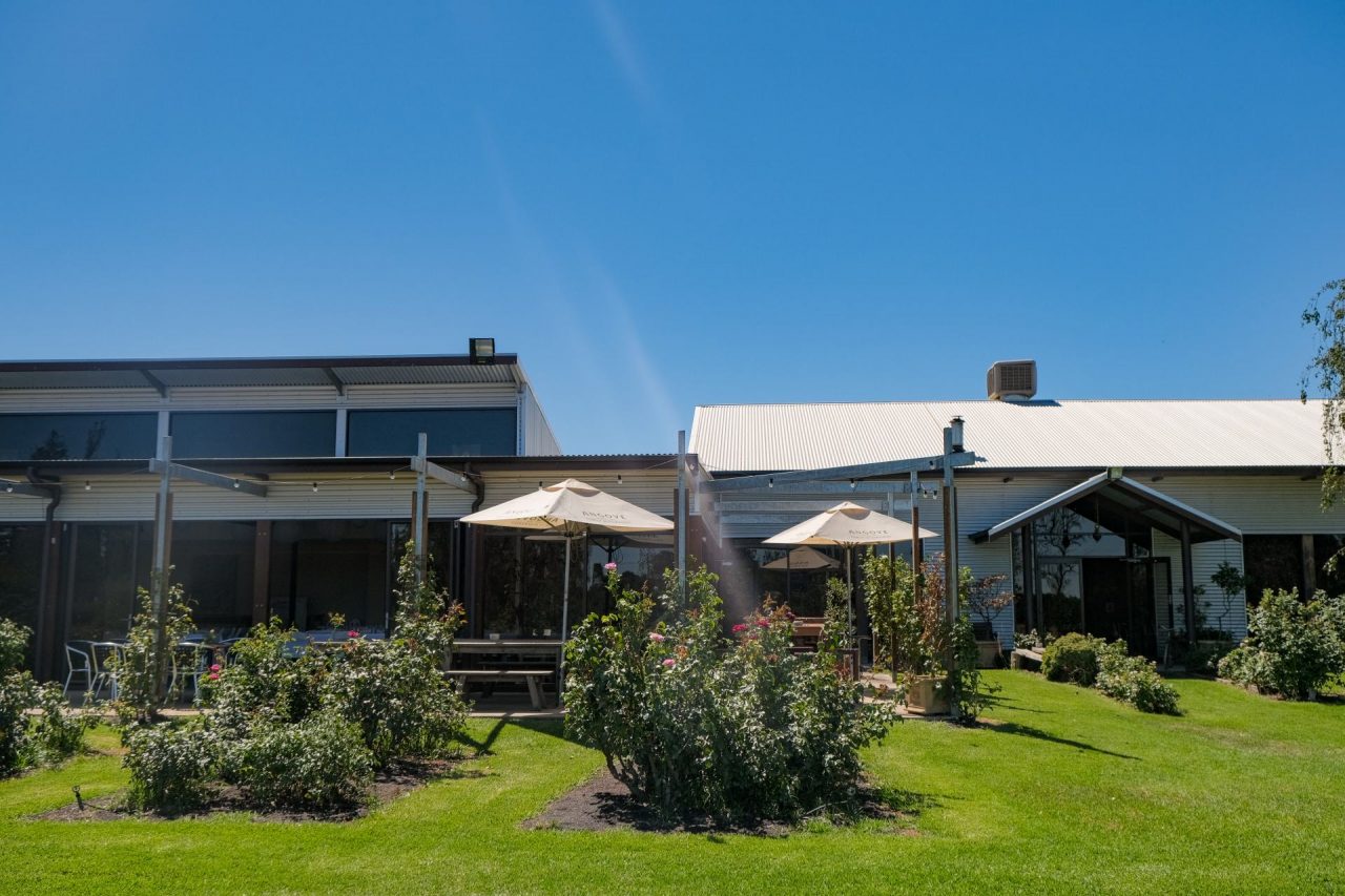 What To Do In Renmark Along The Murray River Way - Explore Shaw