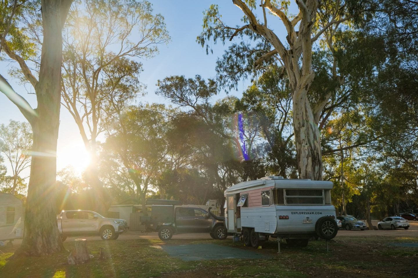 What To Do In Renmark Along The Murray River Way - Explore Shaw