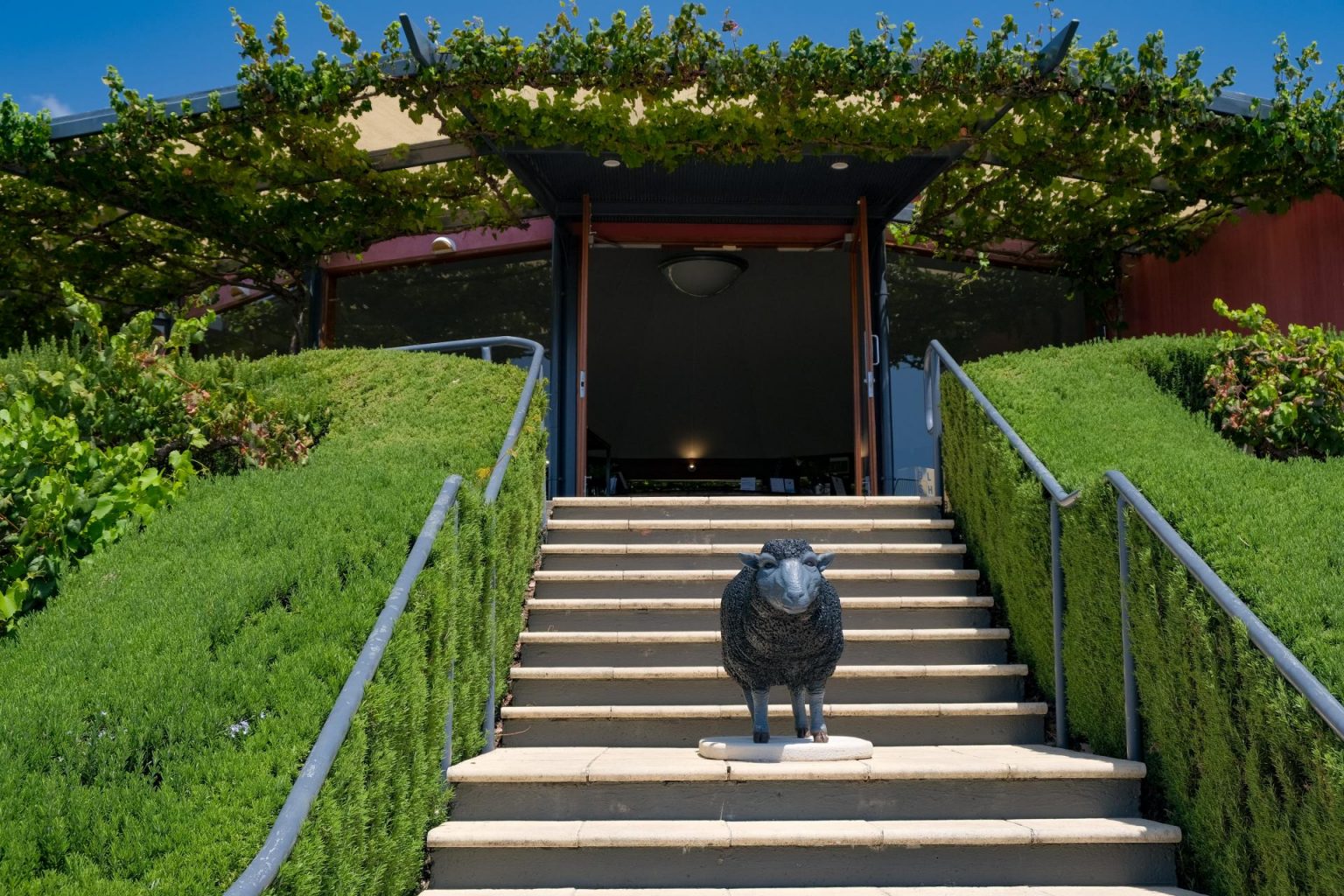A Guide To The Best Wineries In McLaren Vale - Explore Shaw