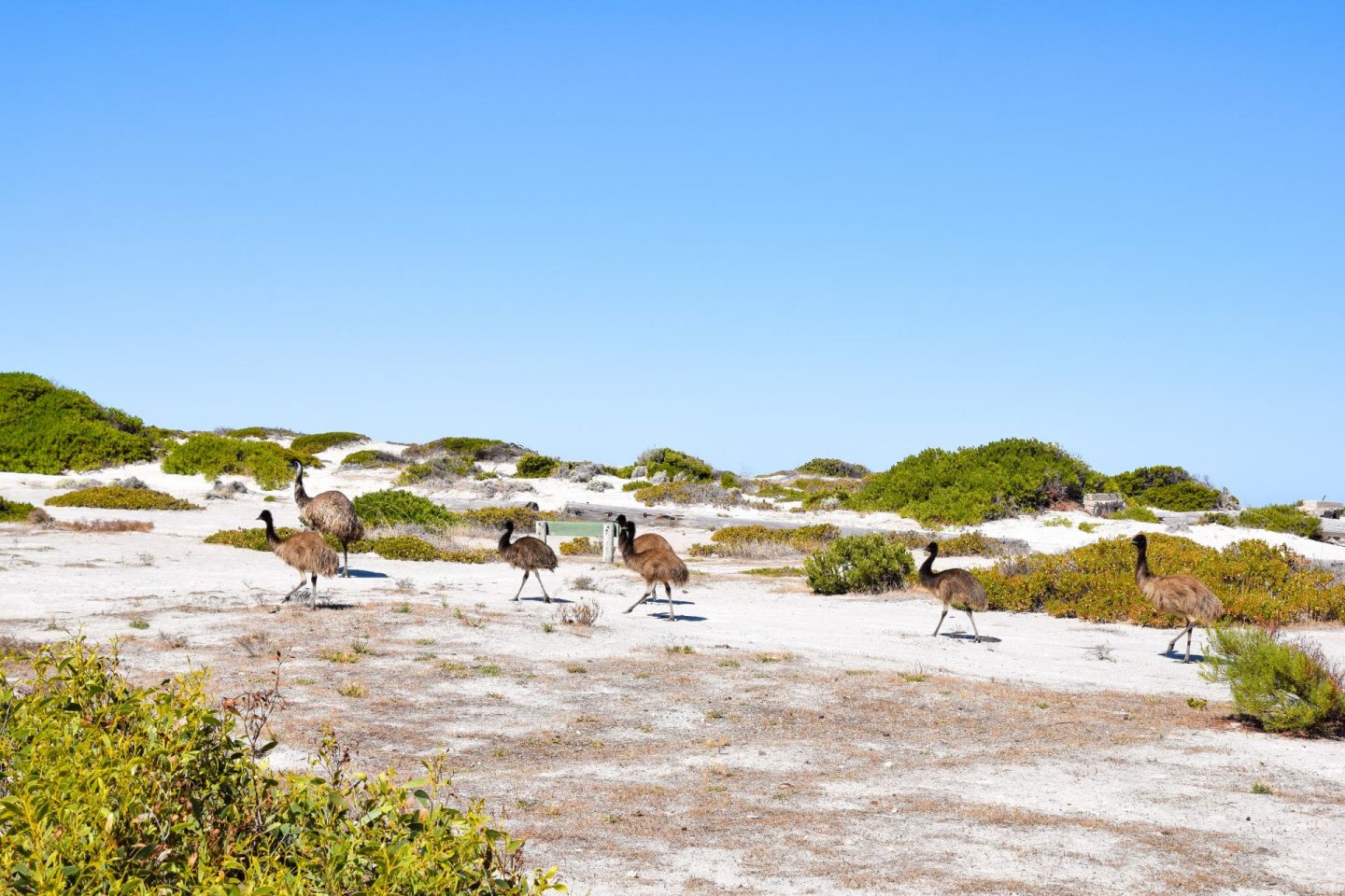 Your Complete Innes National Park Camping Guide - Explore Shaw