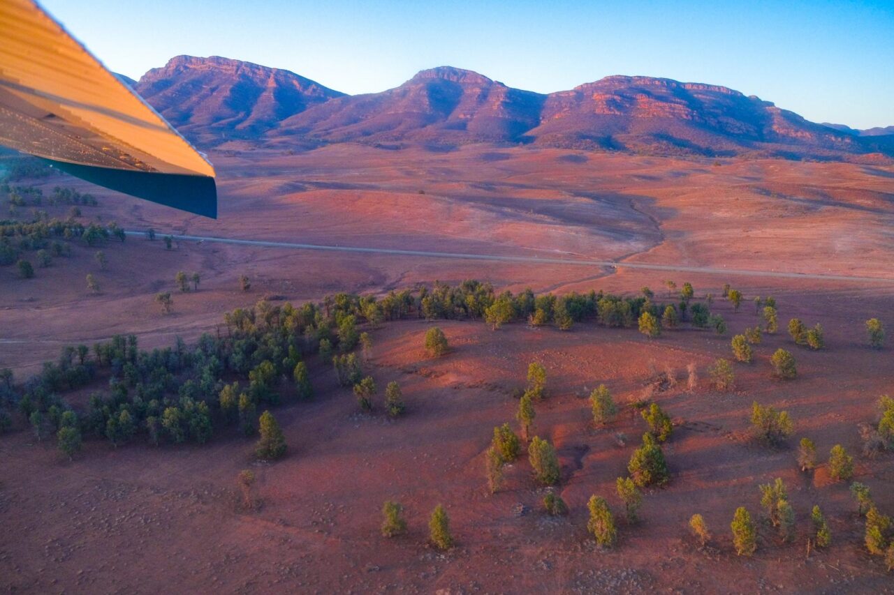 A Guide To Visiting Ikara-Flinders Ranges National Park - Explore Shaw
