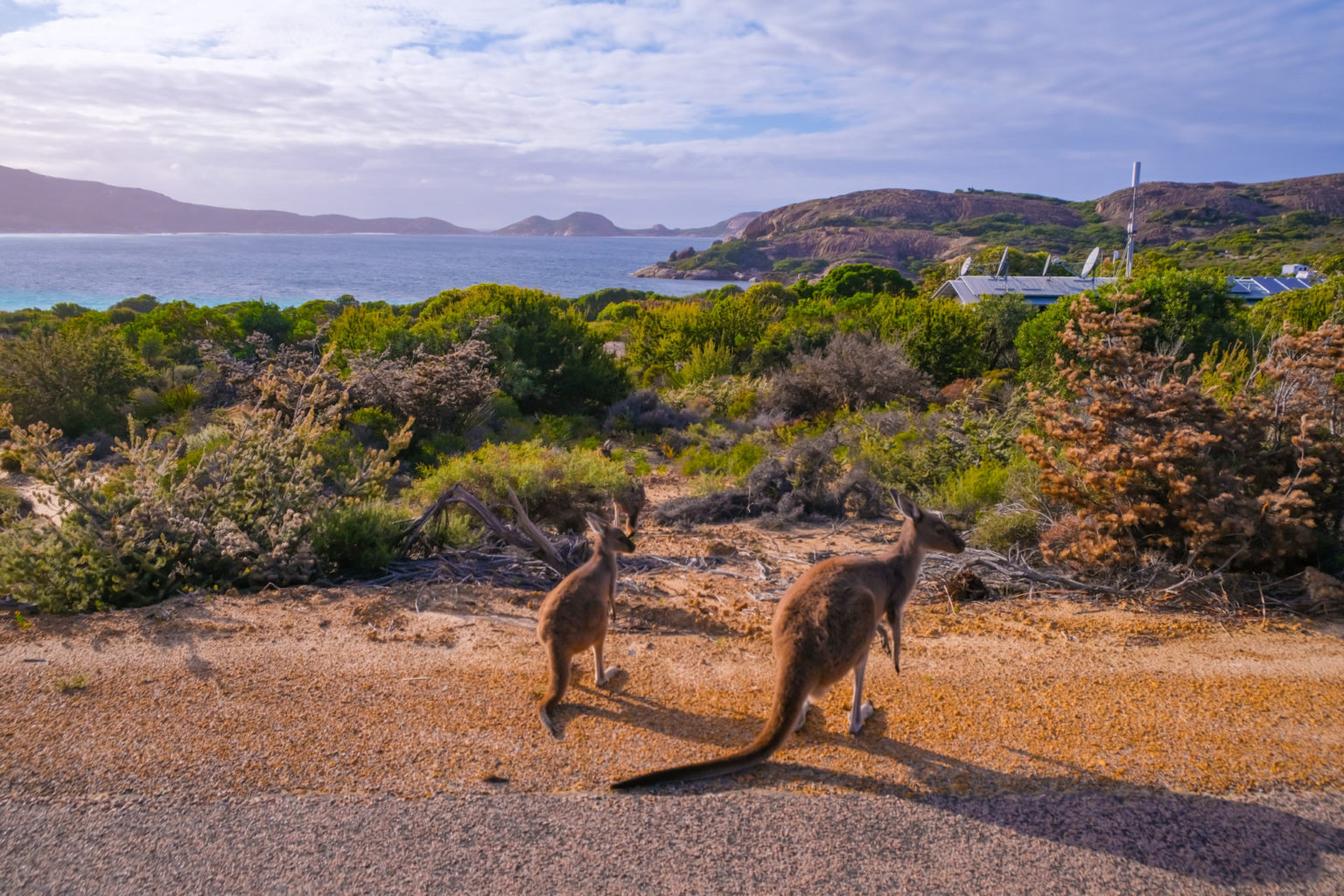 10 Best Beaches in Esperance You Don't Want to Miss - Explore Shaw