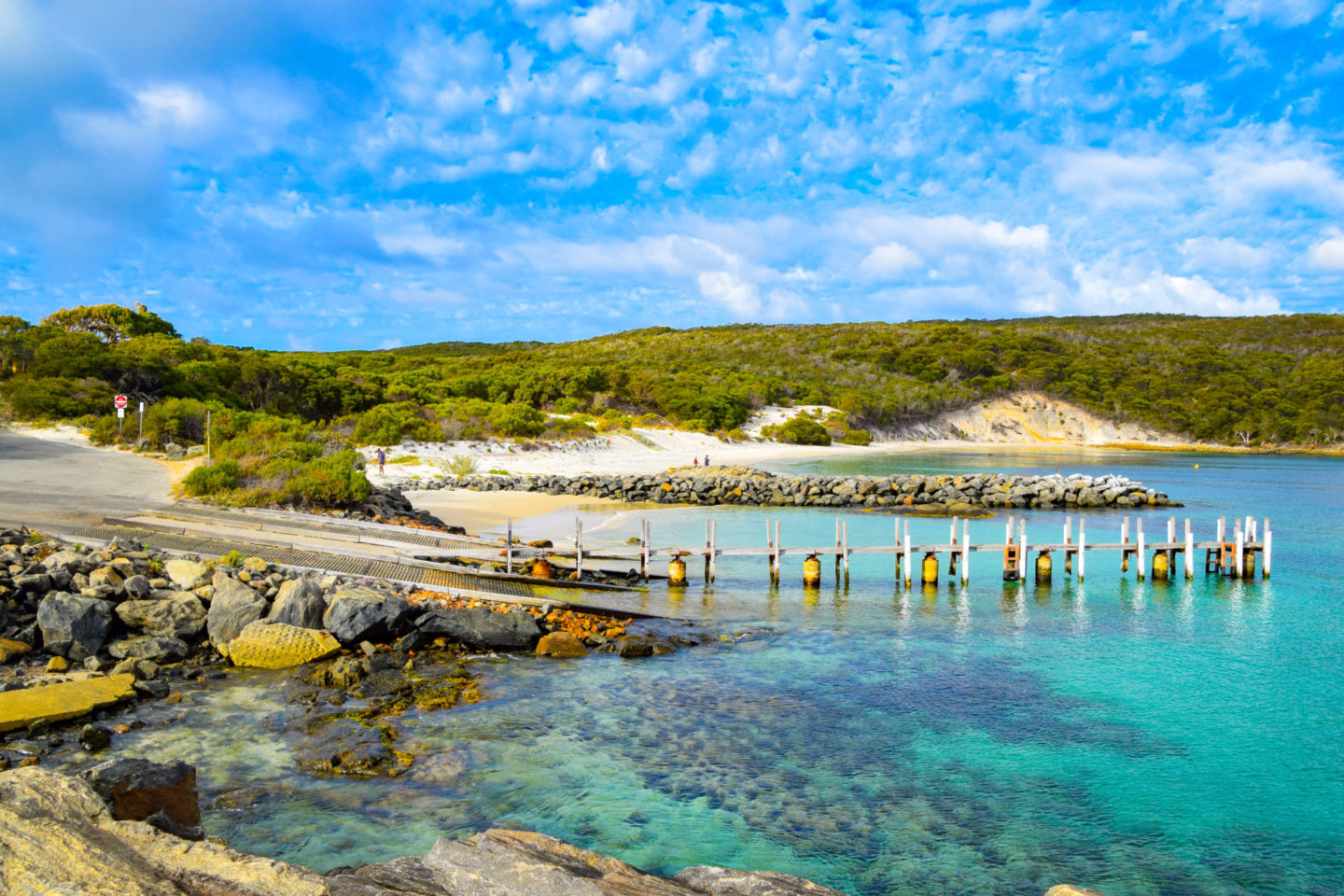Where To See Orca Whales In Australia - Explore Shaw