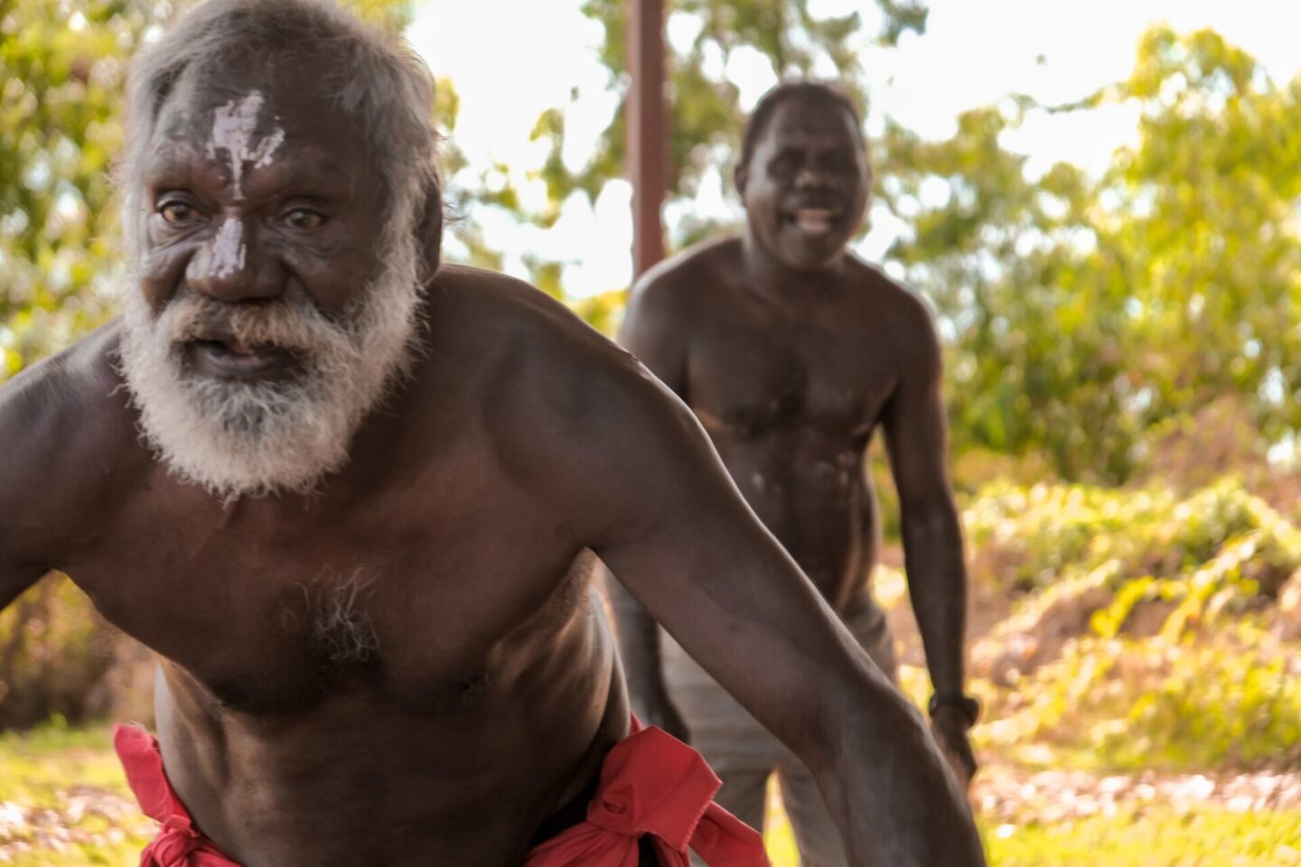 A Day Trip to the Tiwi Islands with SeaLink NT - Explore Shaw