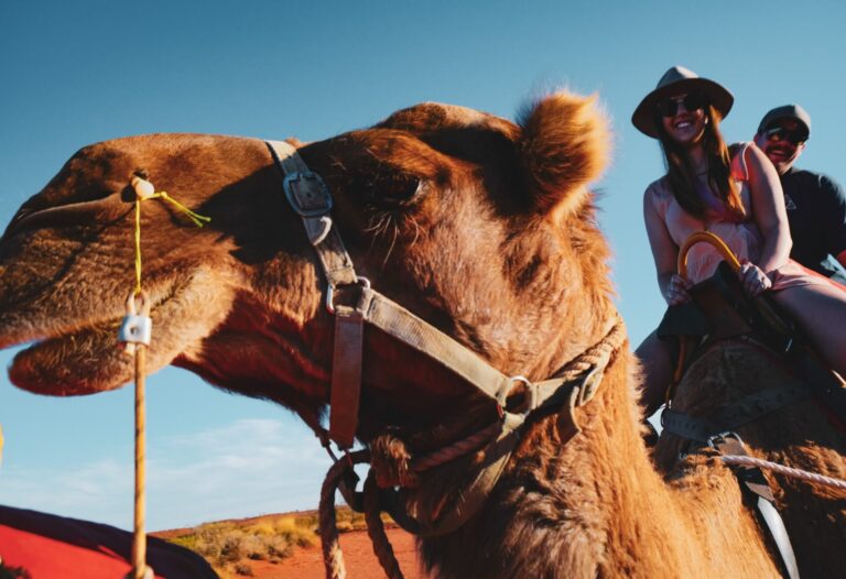 The Best Can't Miss Things To Do At Uluru - Explore Shaw