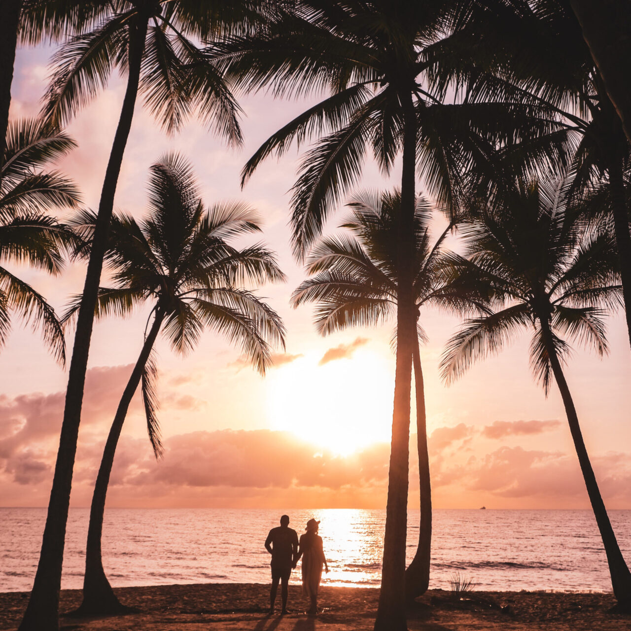 Queensland Travel Guide - Explore Shaw