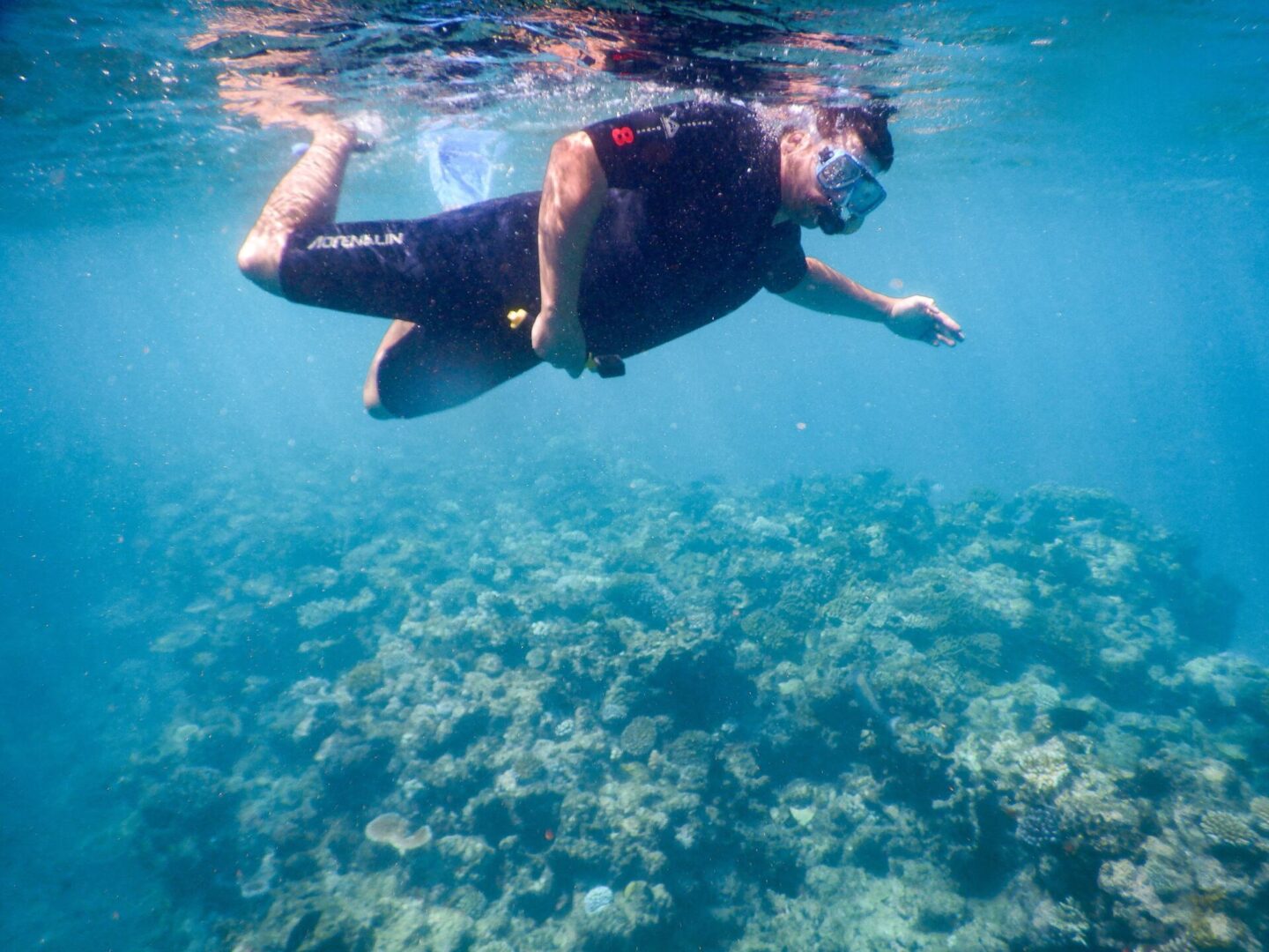 A Unique Day On The Great Barrier Reef With Dreamtime - Explore Shaw