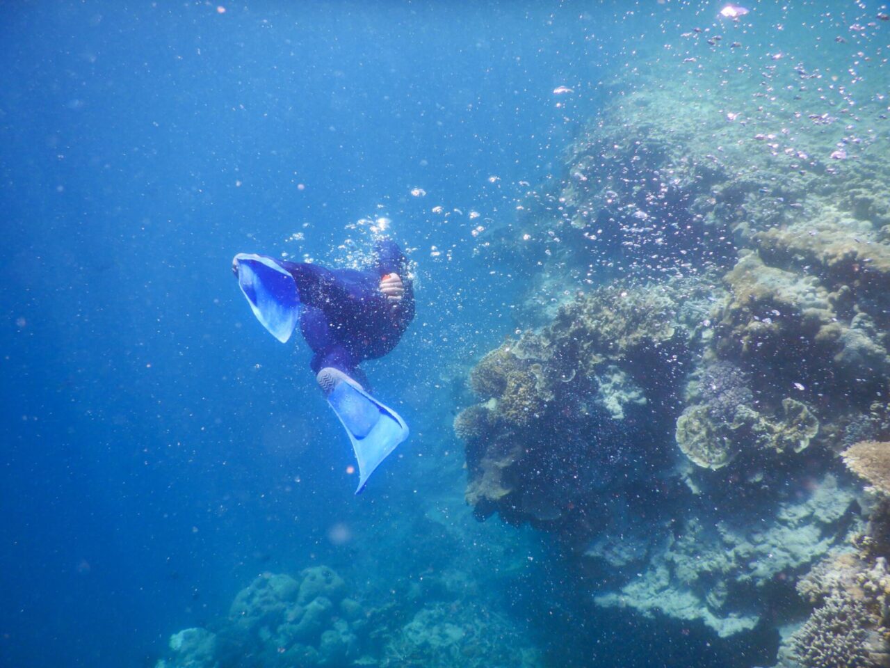 A Sleepover on the Great Barrier Reef at ReefSleep - Explore Shaw