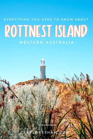 A Complete Guide to Rottnest Island - Explore Shaw