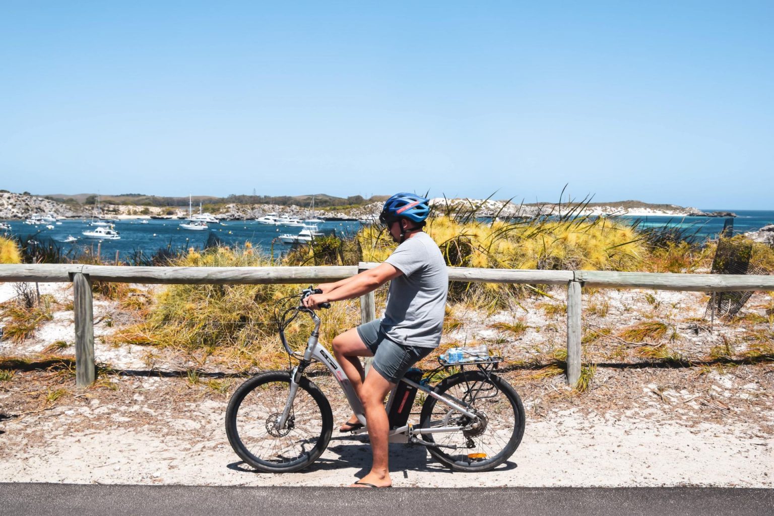 A Complete Guide to Rottnest Island - Explore Shaw