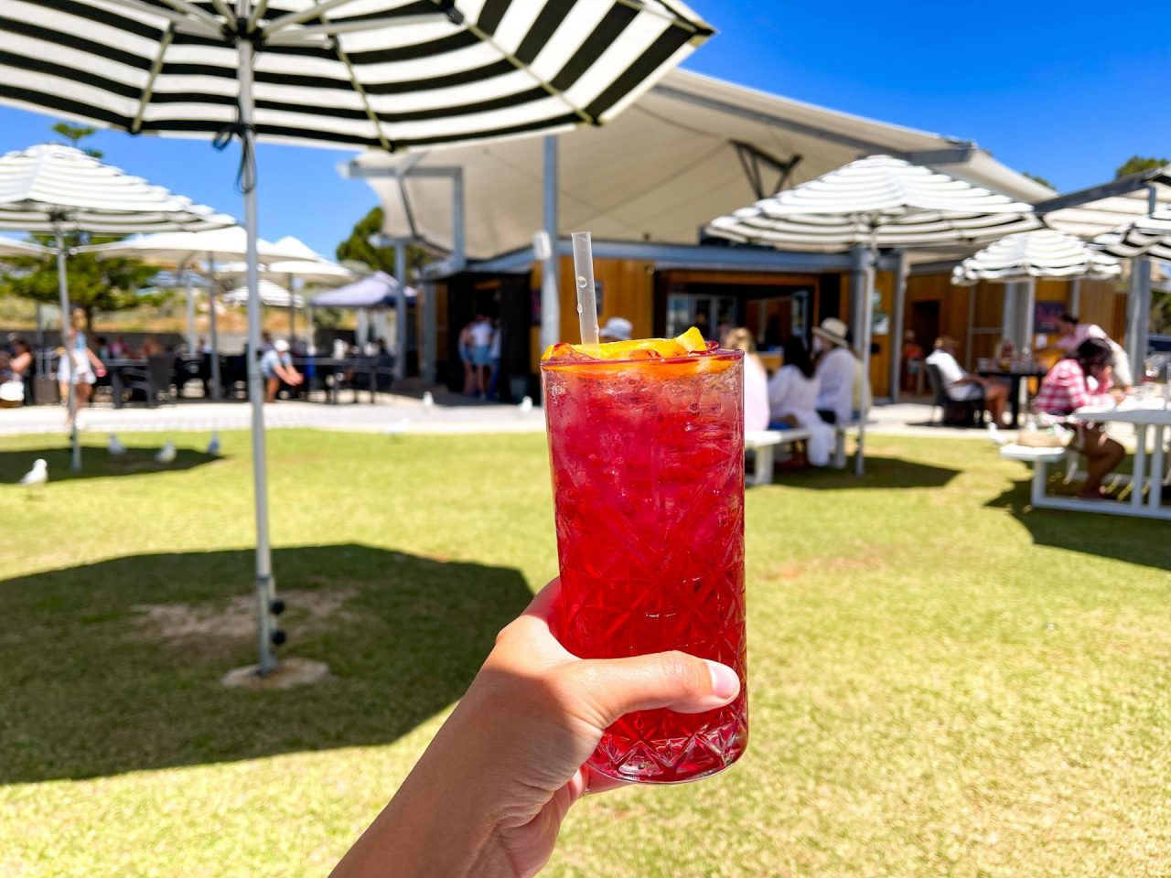 A Complete Guide to Rottnest Island - Explore Shaw