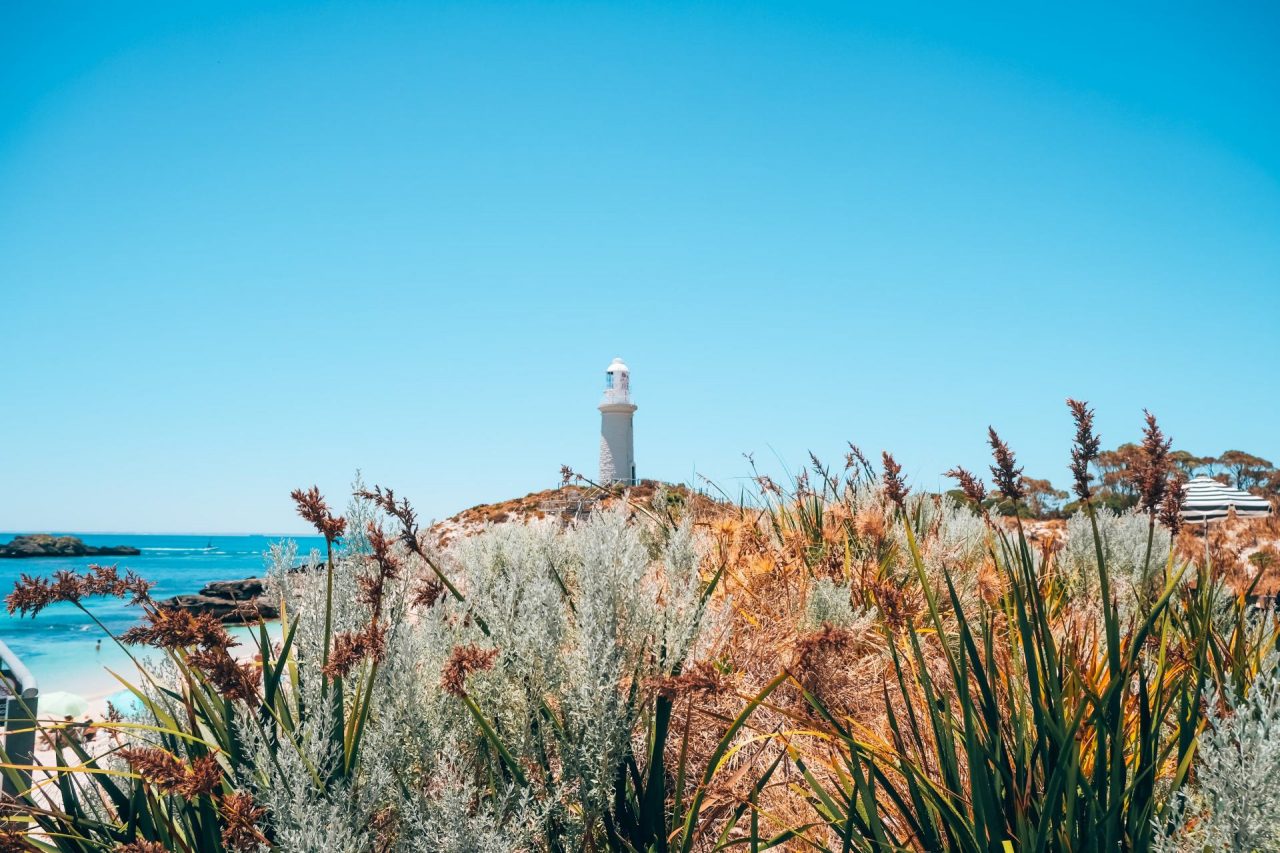 A Complete Guide to Rottnest Island - Explore Shaw
