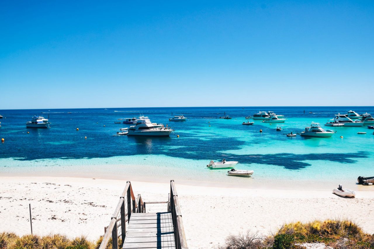 A Complete Guide to Rottnest Island - Explore Shaw