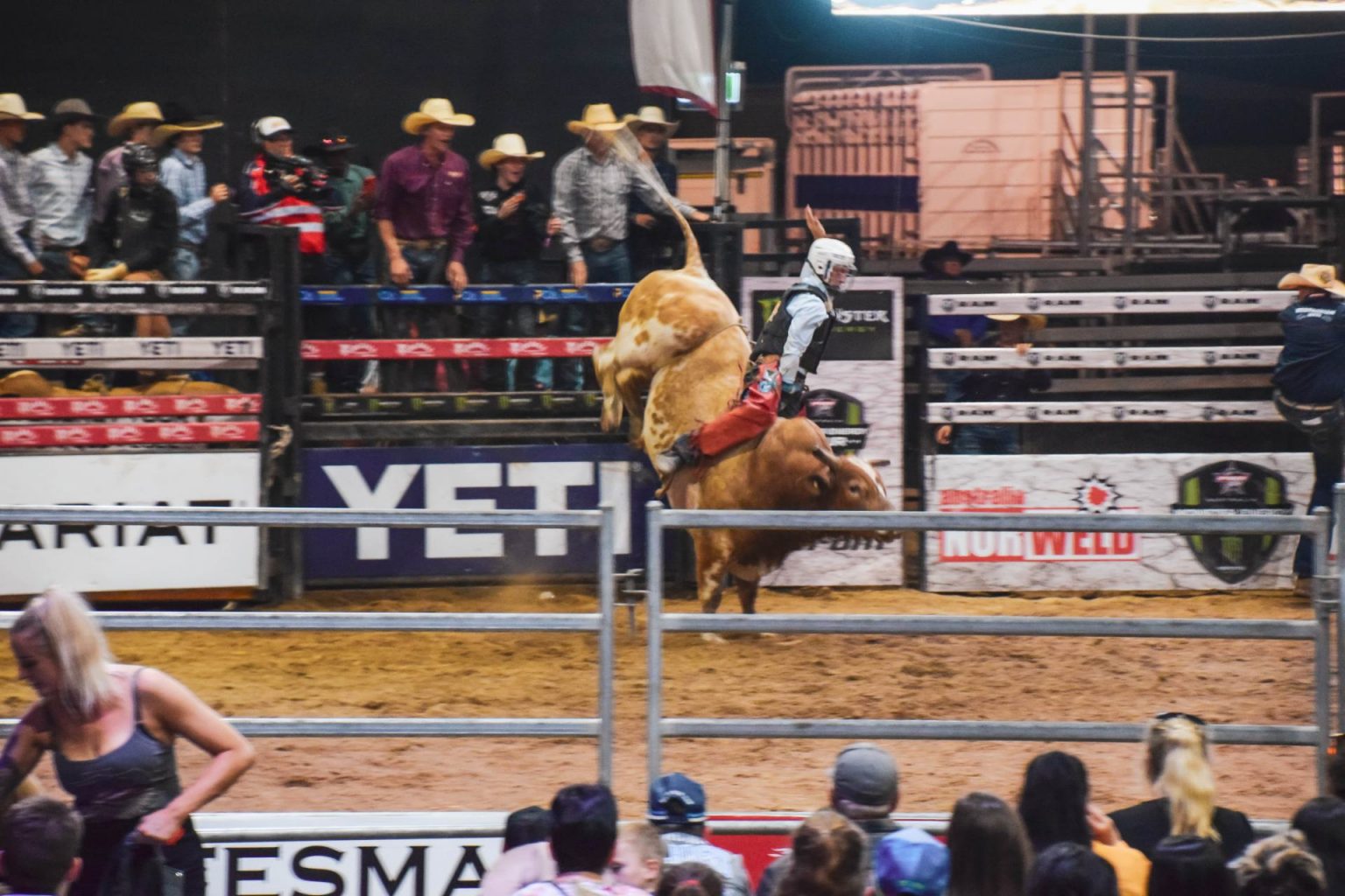 15 Fun Things To Do In Rockhampton - Explore Shaw