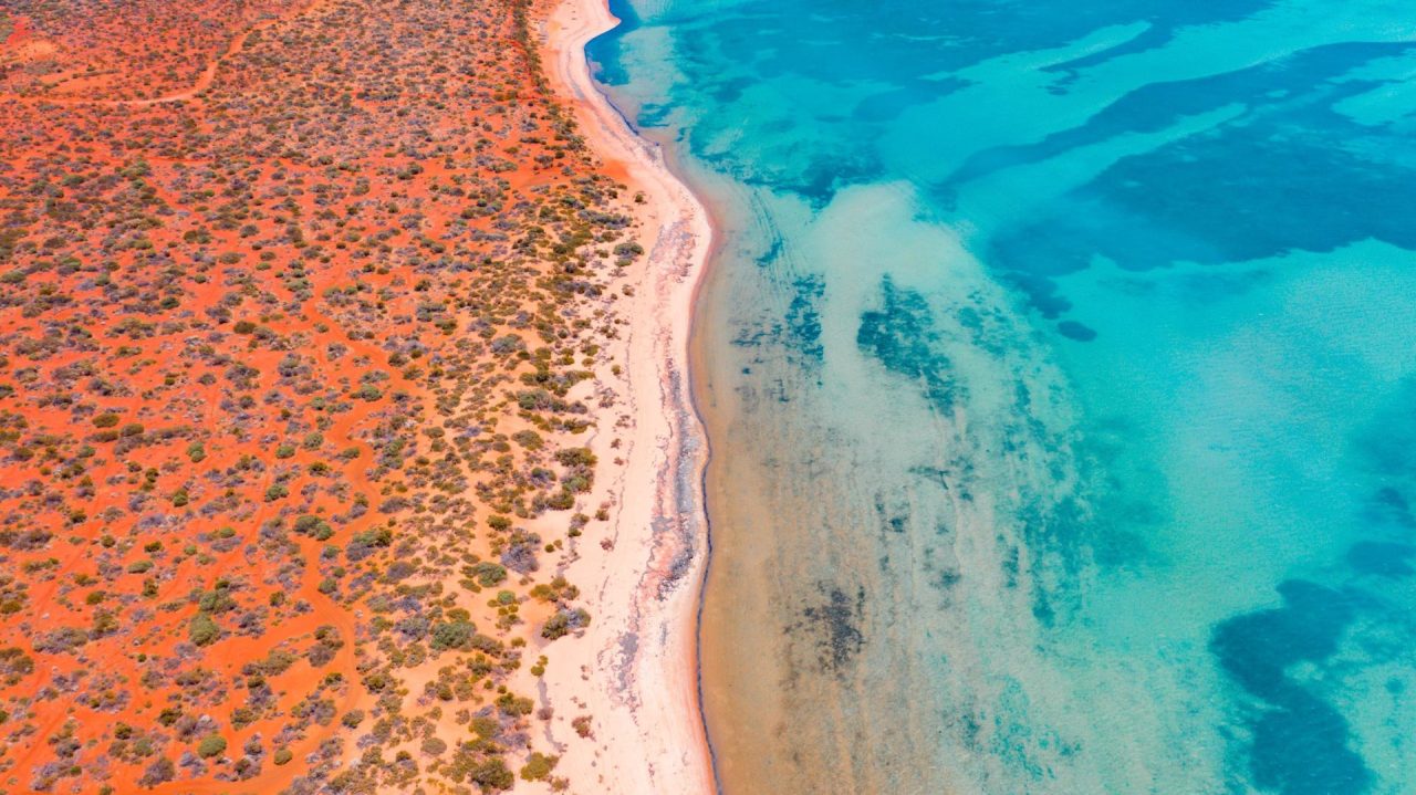 11 Places To Stop On A Coral Coast Road Trip - Explore Shaw