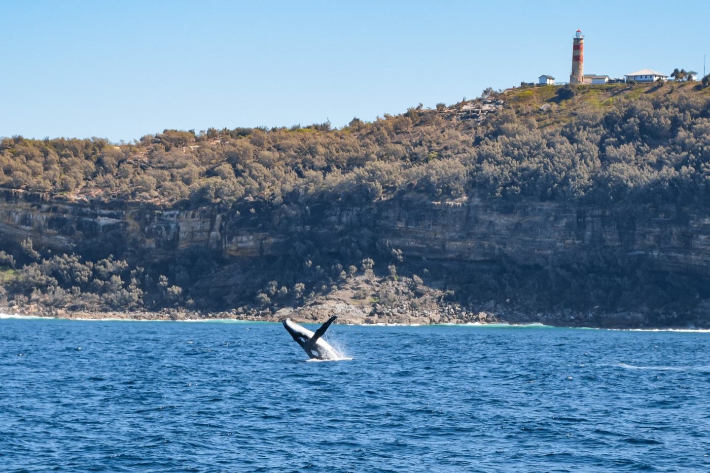 The Ultimate Adventure Getaway: Tangalooma Island Resort - Explore Shaw